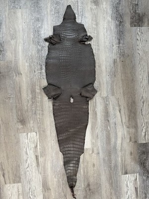 Authentic Alligator Skin - Grey Tan - 4’7” Long 37cm Wide | eBay