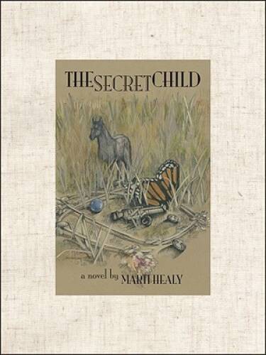 The Secret Child - Hardcover By Marti Healy - GOOD 9780979127779| eBay