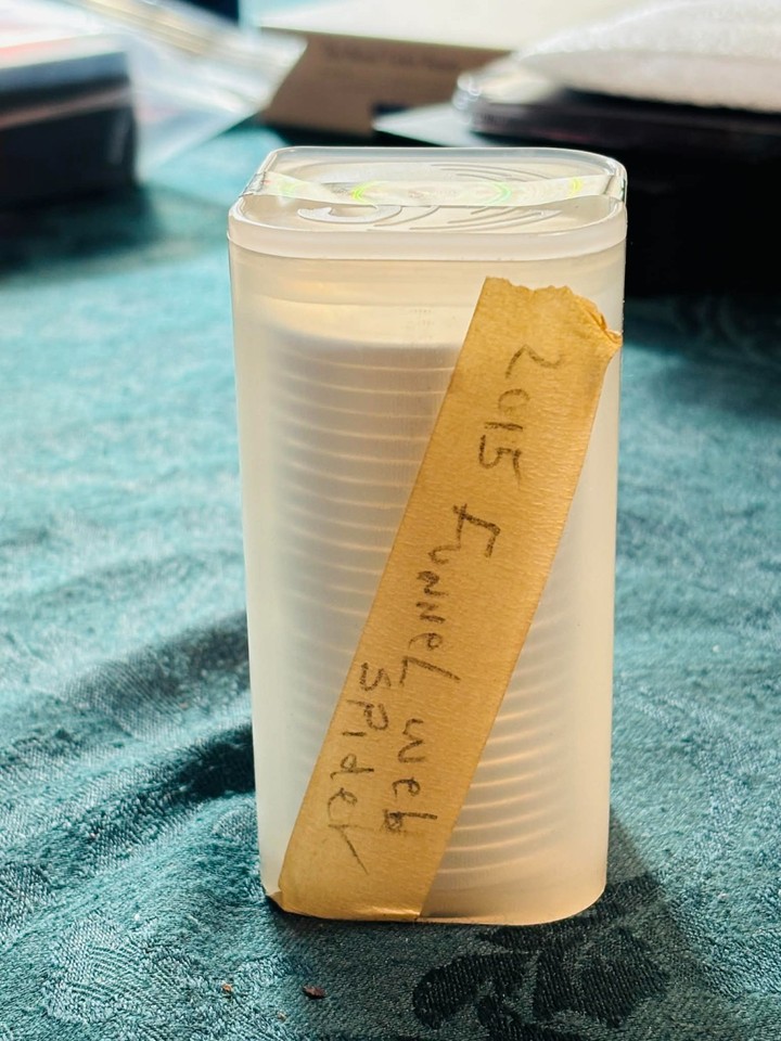 2015 Australian Funnel Web Spider 1oz.ea. 999 Silver coin 25 coin ...