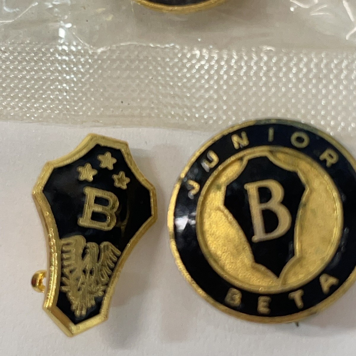 Junior Beta Symbol Clubs And Activities / BETA