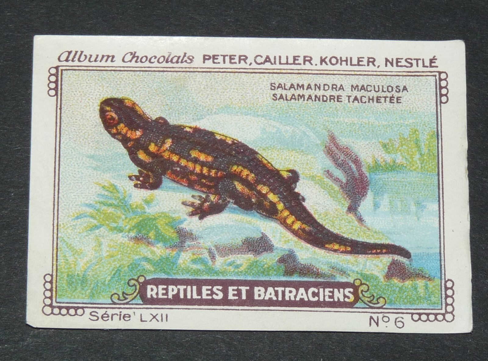 CHROMO PETER CAILLER KOHLER NESTLE 1928 SERIE 57 REPTILES BATRACIENS ...