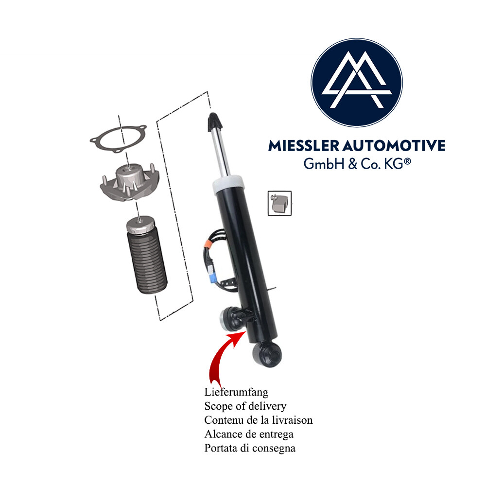 BMW X5 F15 Shock absorber suspension 37106875087 rear left | eBay