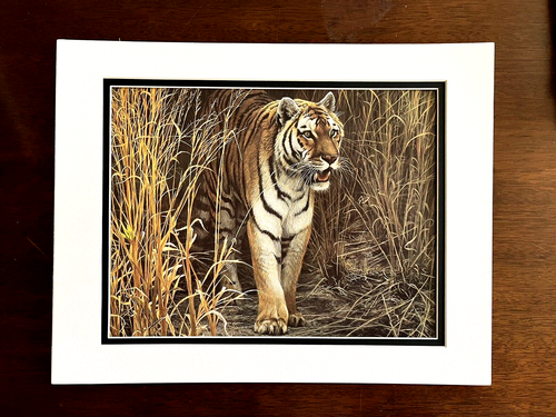 Unframed 11x14 Tiger at Dawn Robert Bateman Double Matted Reeds Grass ...