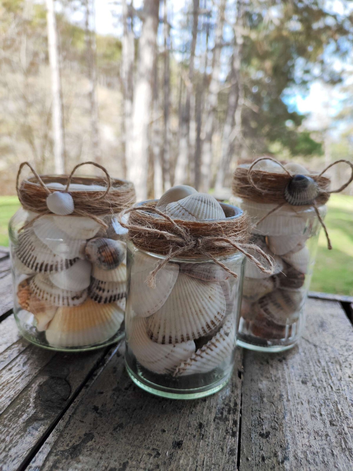 Rustic Sea shell Jars for Coastal Living: Handcrafted with Natural ...