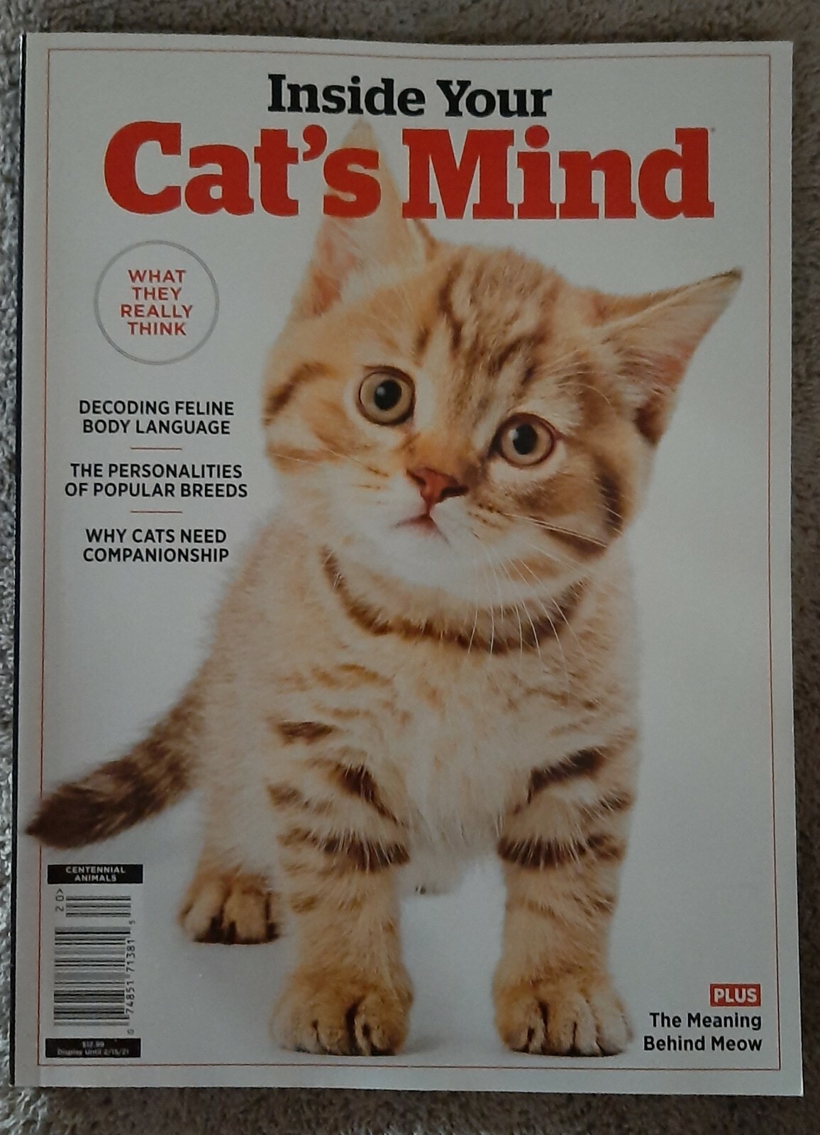 Inside Your Cat's Mind Centennial Animals Special Edition Magazine NEW ...