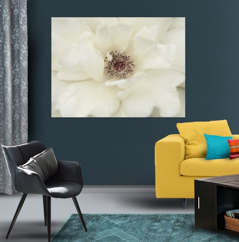 3D White Petal A099 Wall Stickers Wall Murals Wallpaper Assaf Frank Ann ...