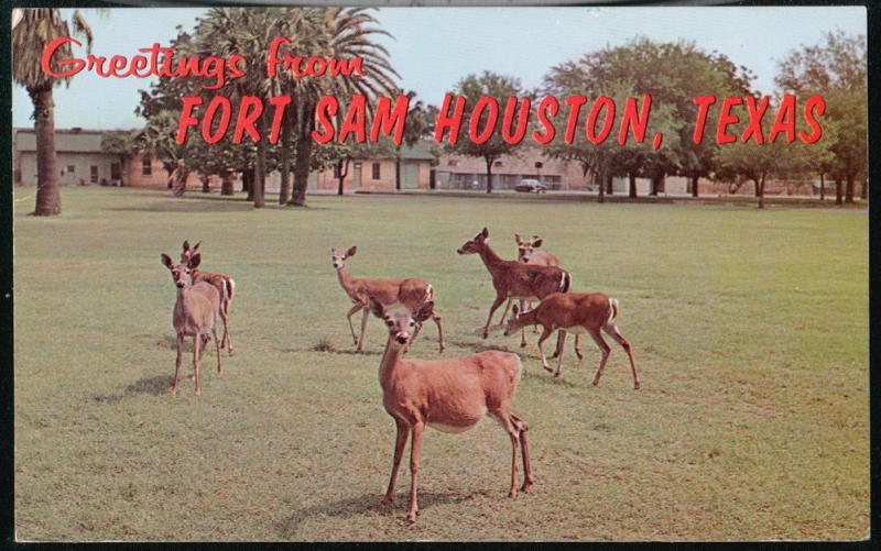 FORT SAM HOUSTON TX TEXAS Quadrangle Deer Vtg Postcard | eBay