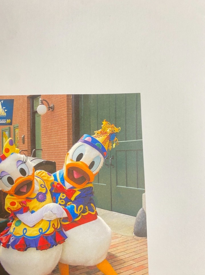 Donald Duck Daisy Tokyo Disneyland Disney Fan Limited Postcard 2015 ...