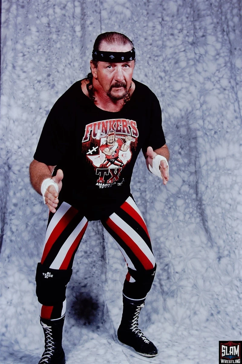 Terry Funk Ecw