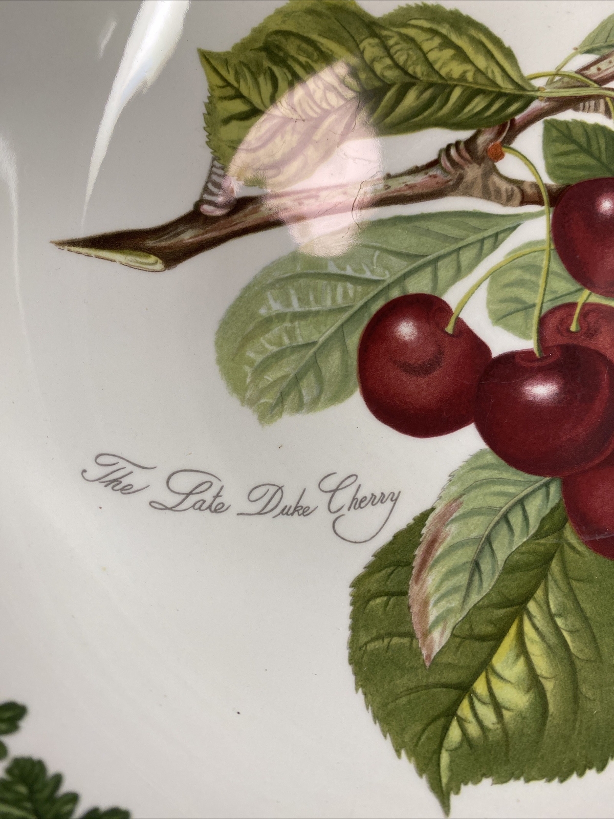 Portmeirion Pomona 10" Salad Serving Bowl~ Late Duke Cherry | eBay