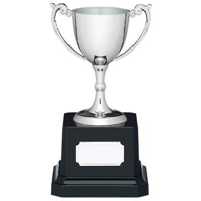 Nickel Plated Cast Cup Presentation Achievement Sports Award FREE ...