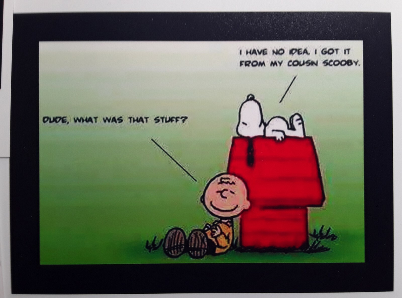 Peanuts Snoopy & Charlie Brown ♡ 420 ♡ Magnet ☆ Scooby-Doo ☆ Funny ...