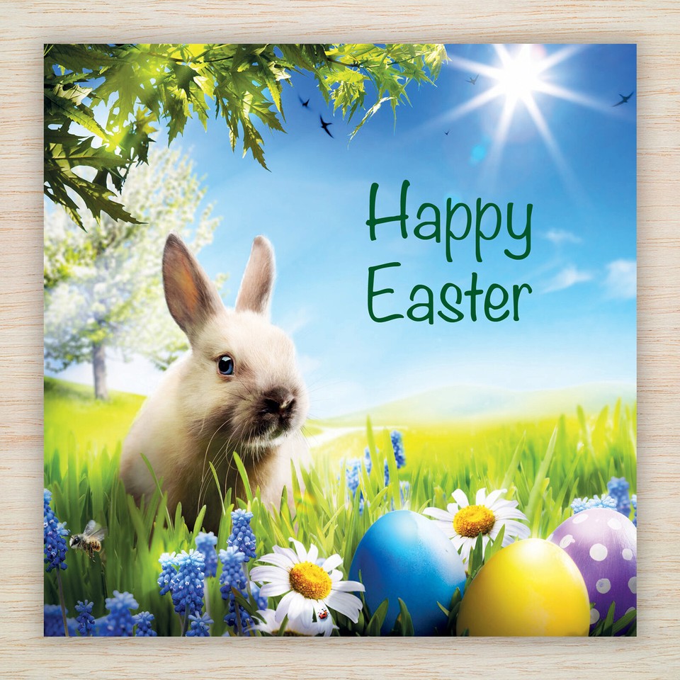 Easter Cards Mixed 8 Pack Bunnies Chicks Ducklings Tulips Eggs Lambs ...