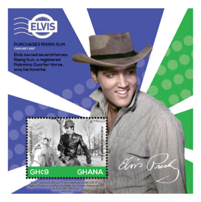 Ghana 2015 - Elvis Presley - Rising Sun - Souvenir sheet - Scott #2881 ...