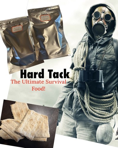 hardtack bread | eBay