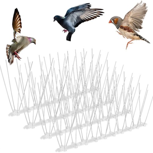 Bird Pigeon Metal Fence Spikes Deterrent Anti Perch Control Seagull ...