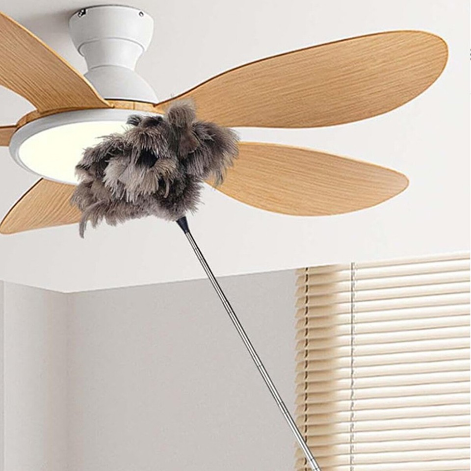 Retractable Feather Duster Duster Ostrich Feather Duster For Book ...