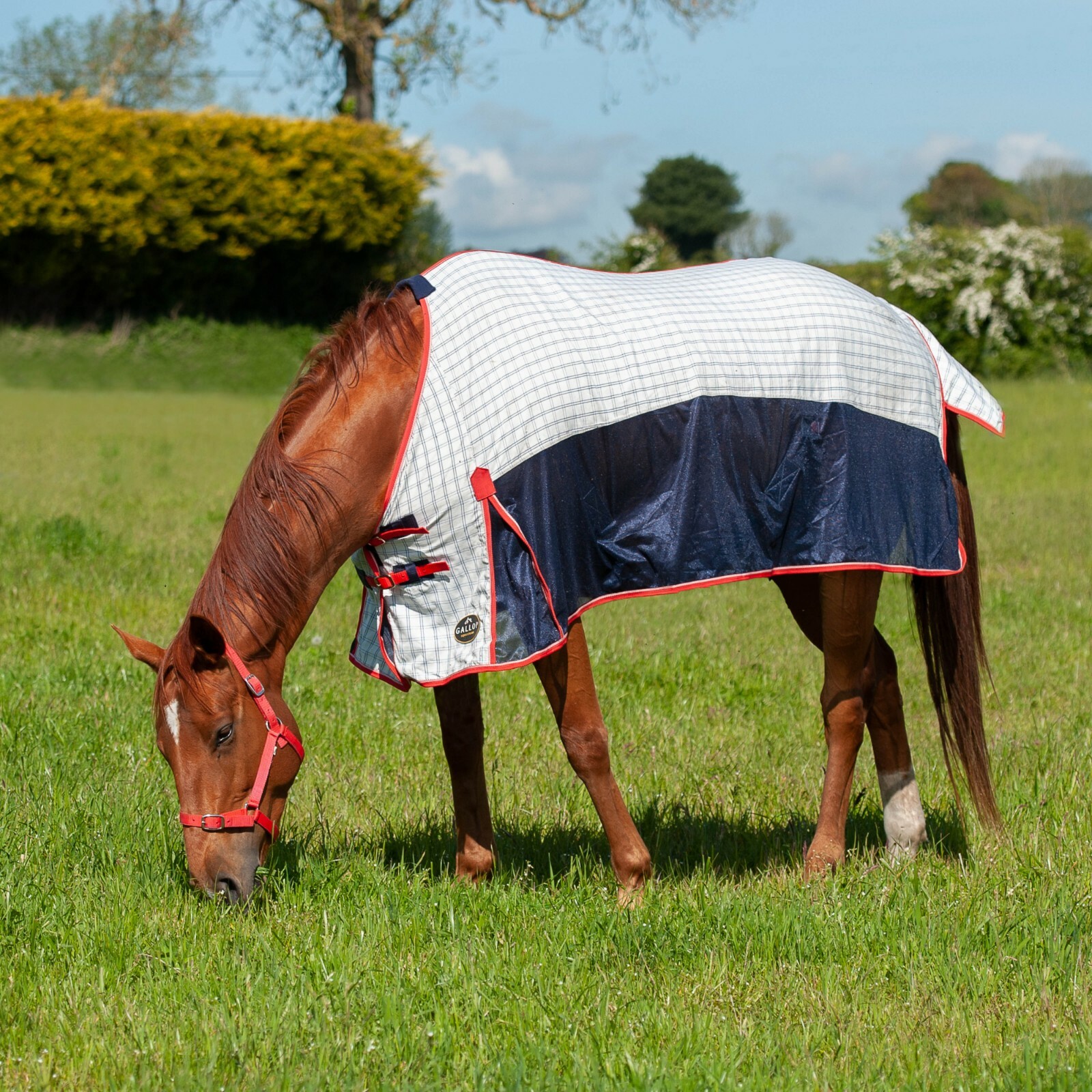 Gallop Summer Sheet Air-Mesh Standard Neck | Fly Rug, Horse Turnout ...