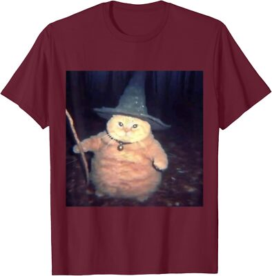 Wizard Fat Cat Funny Weird Meme Costume Inspired Unisex T-Shirt | eBay