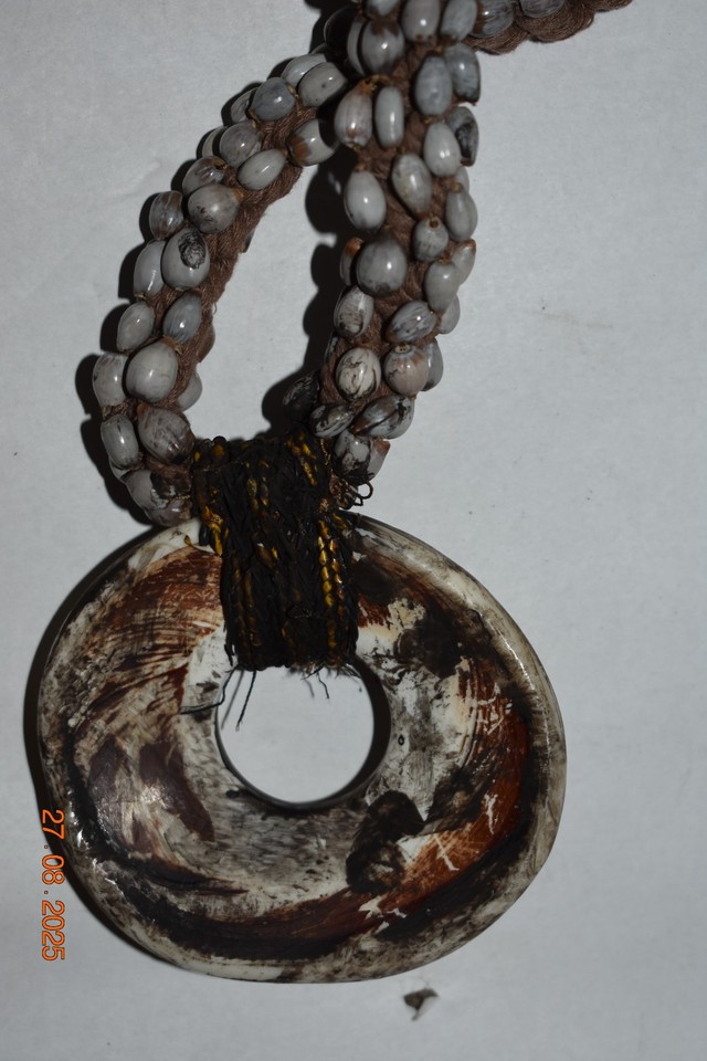 PAPUA NEW GUINEA SHELL MONEY NECKLACE, 3" SHELL, 16" 1900S | eBay