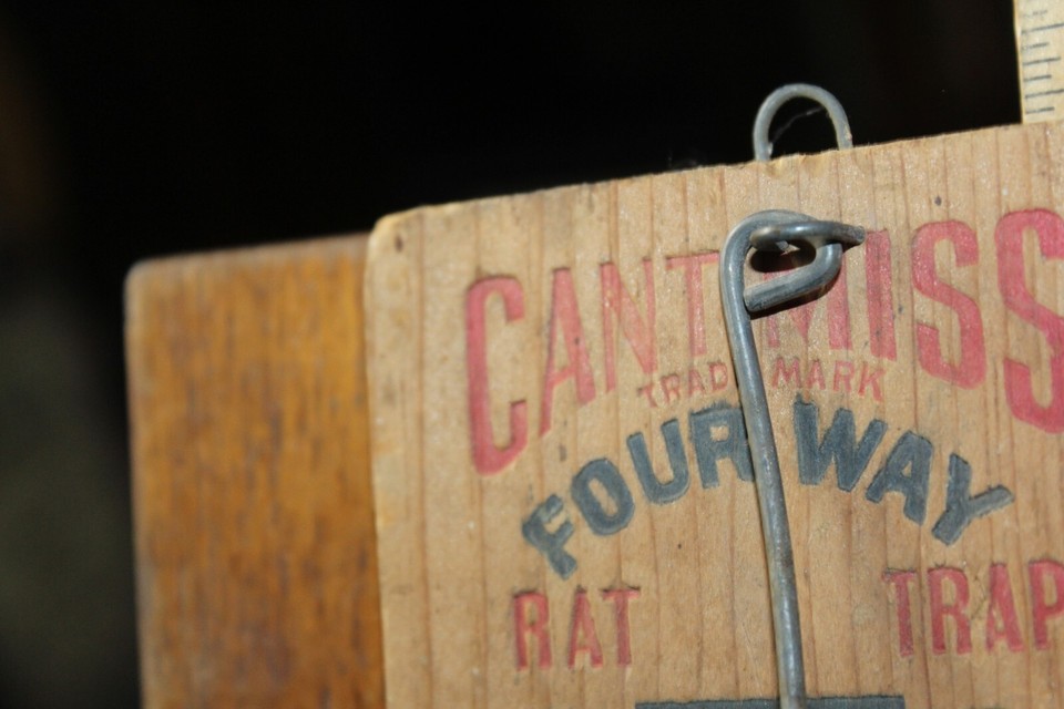 Vintage McGill Cant Miss Four Way Mouse Trap | eBay