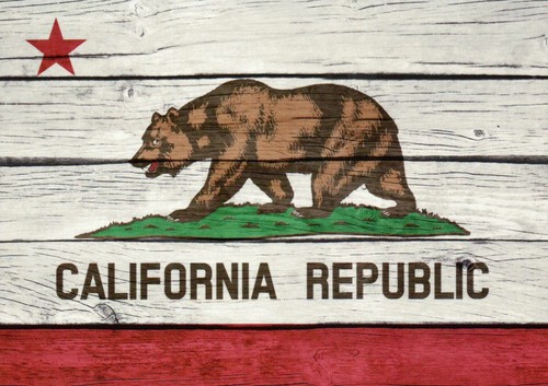 California State Flag, Grizzly Bear, Red Star, CA Republic, Green Grass ...