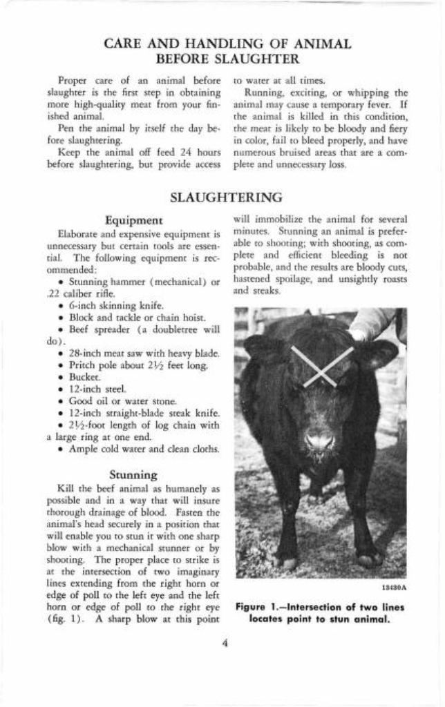 56 BUTCHERY BOOKS ON DVD- BUTCHER MEAT CURING SAUSAGE MAKING PORK BEEF ...