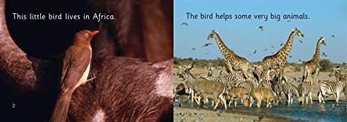 Helper Bird: Band 03/Yellow (Collins Big Cat) (USED) 9780007412945 ...