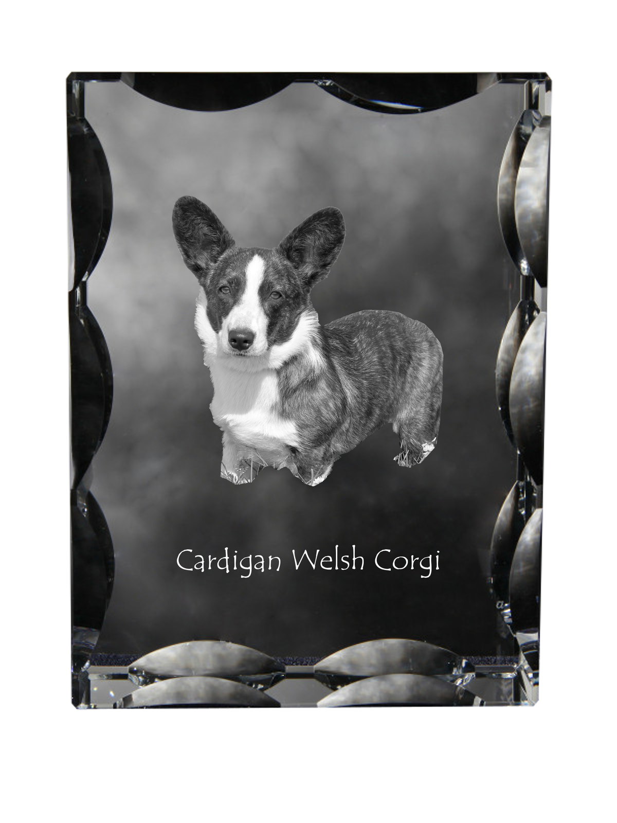 Cardigan Welsh Corgi I - crystal with a picture of a dog, glass ...