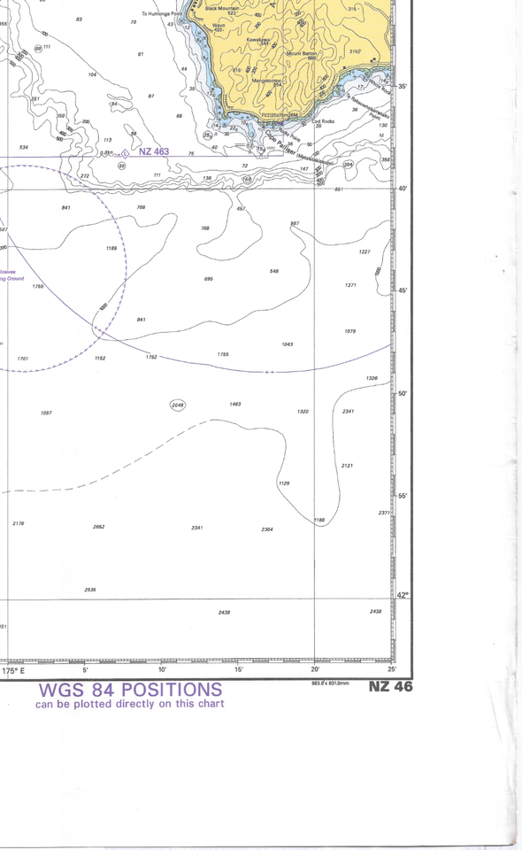 NZ 46 New Zealand Cook Strait Chart Map Marine Maritime Nautical Paper ...