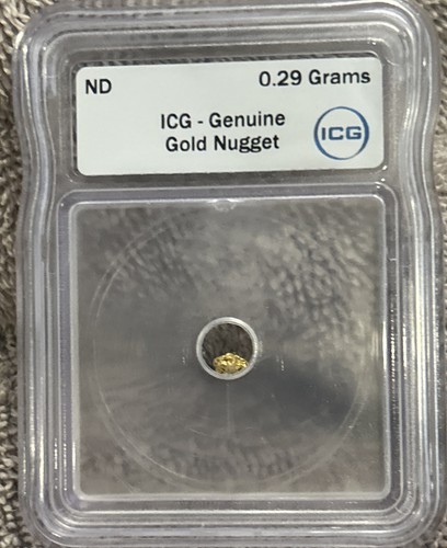 ICG Gold Nugget ICG CERTIFIED .29 Gram | eBay