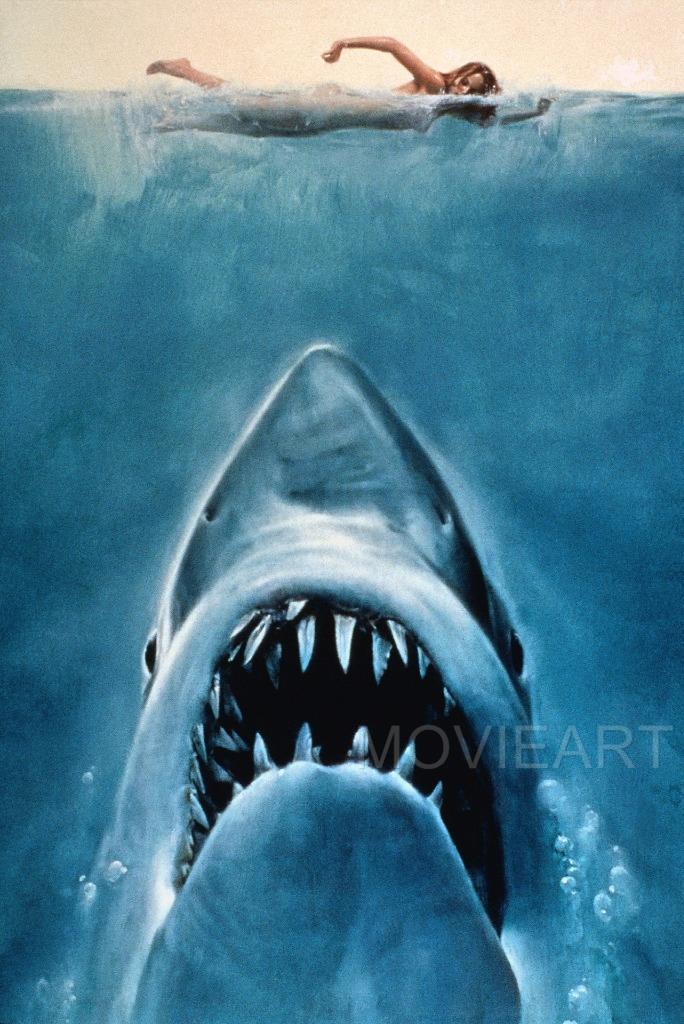 Jaws Movie Photo Print Poster Textless Film Art Stephen