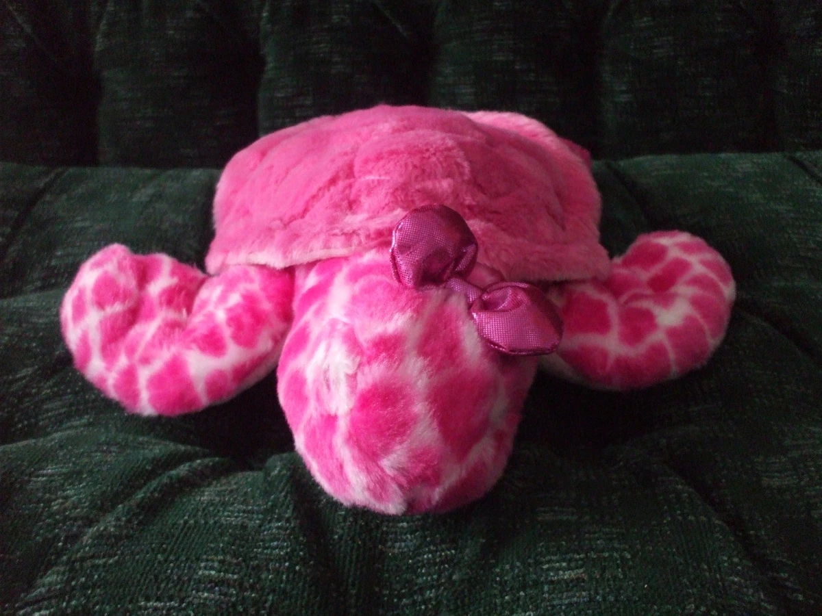 Real Pink Turtles