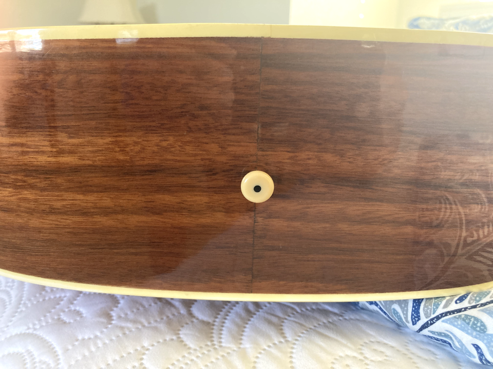 Alvarez Model 5065 Cajun Queen | eBay