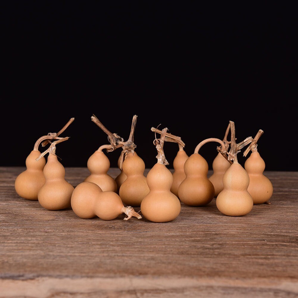 Dry Gourd Ornament Cute Chinese Gourd Bottle Natural Gourd Photography ...