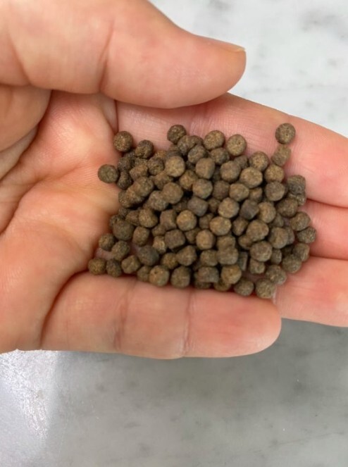 Incellderm LIFENING Deep Talk Plus 5.5g x 60 sticks Health Food Made in ...