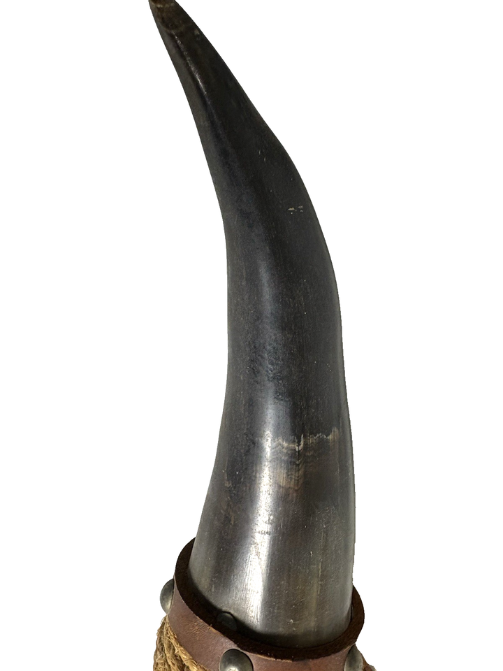 24" Mounted Western Steer Bull Horns Leather Wrap mounted on Wood | eBay