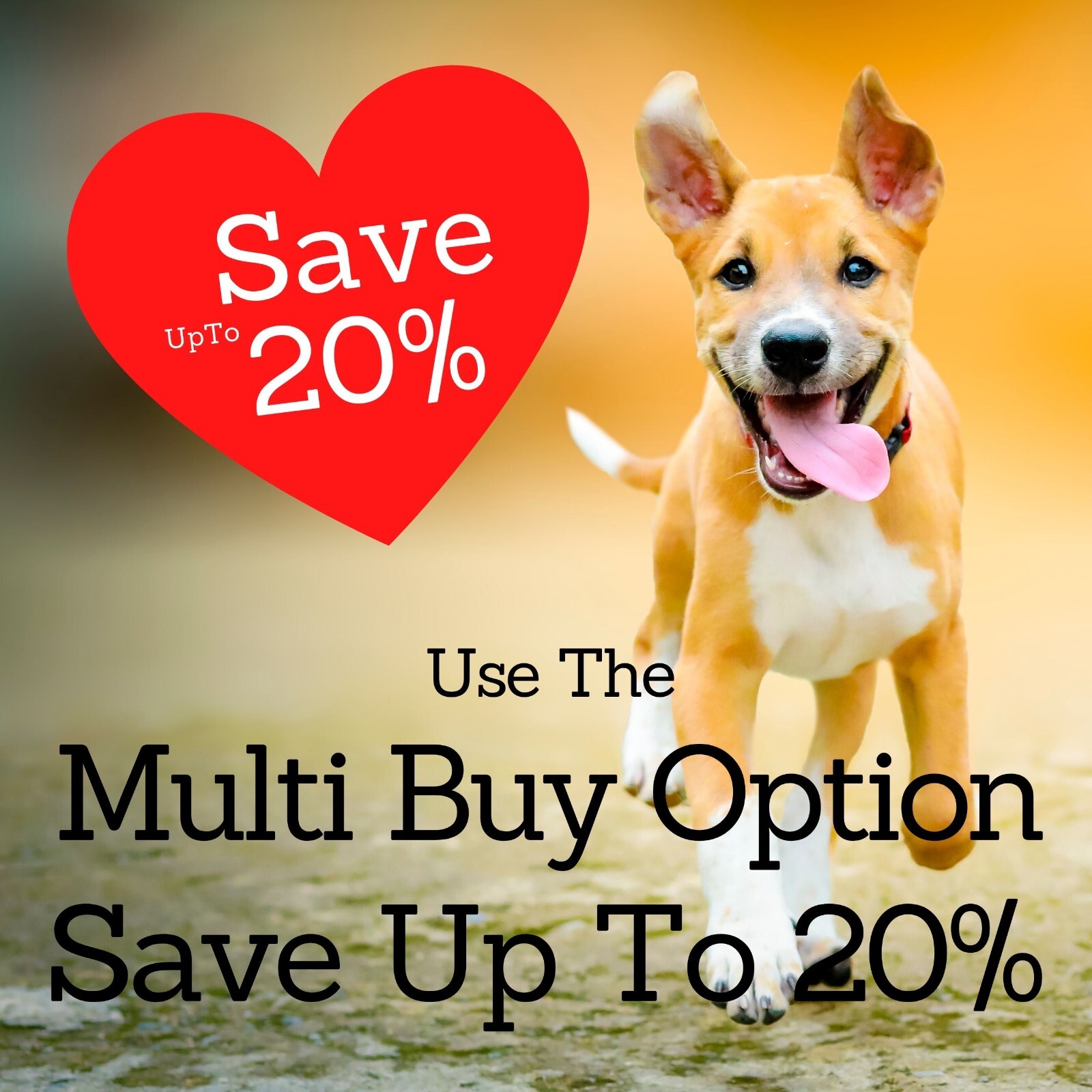 Advanced Calming Support for Dogs Stress Anxiety & Calms Behaviour, 120 ...