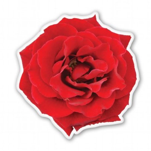 Red Rose Car Vinyl Sticker - SELECT SIZE | eBay