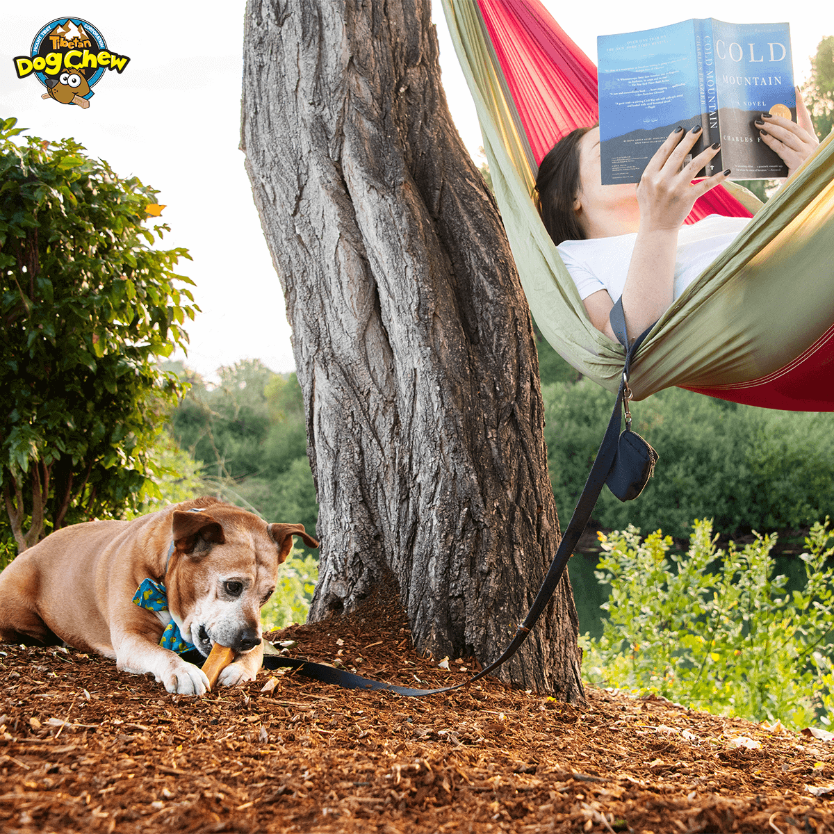 Treats for your Furry Friend, 3.5-ounce Hand-crafted Yak Cheese Dog ...