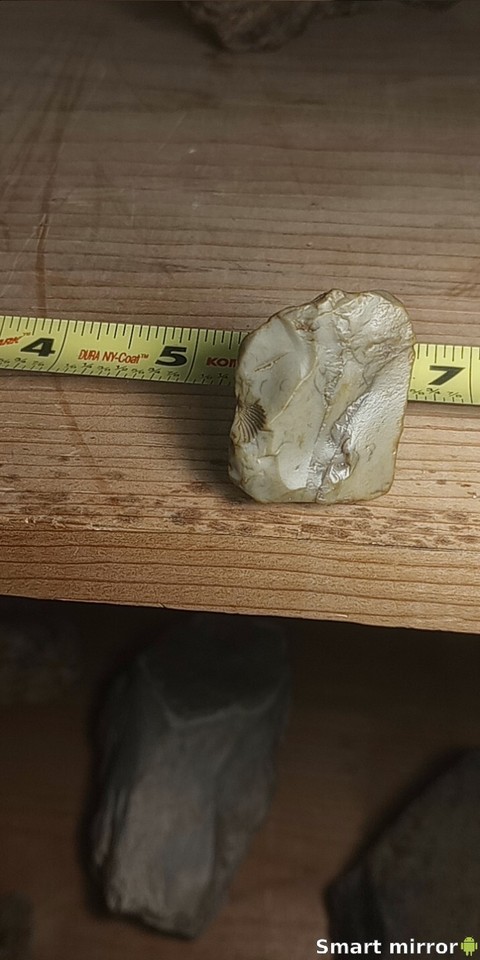 Native American Indian Artifact Ancient Effigy Stone Relic Fox River ...