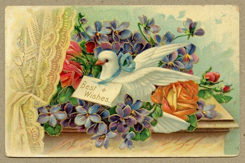 Best Wishes Floral Flowers White Dove Delivering Best Wishes Blue ...
