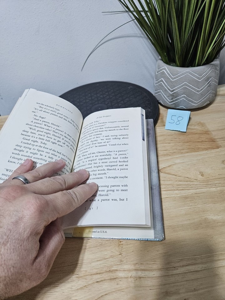 Bunnicula A Rabbit-Tale Of Mystery by Deborah & James Howe 1979 First ...