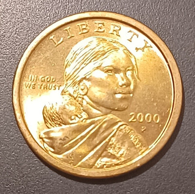 2000-P Sacagawea Native American $1 Dollar US Coin Multiple Error (#1 ...
