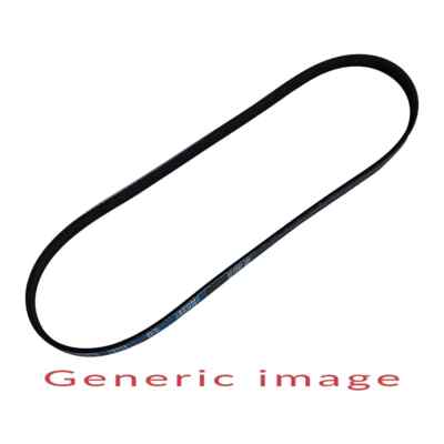 ACDelco Drive Belt 4PK850 19376033 | eBay Australia