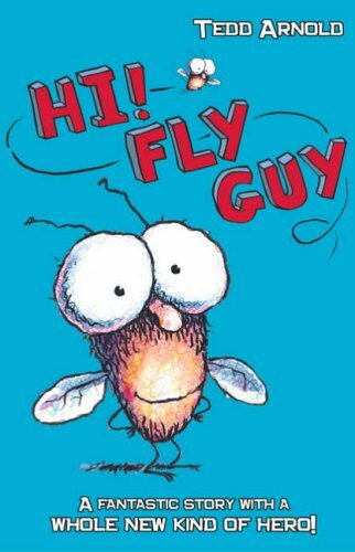 Hi Fly Guy