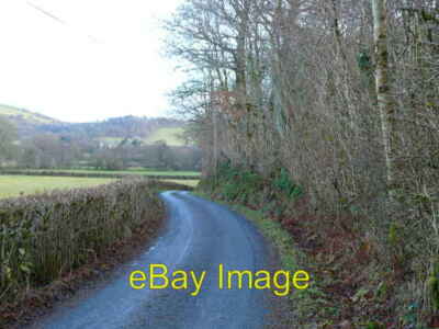 Photo 6x4 Lon gul ger Pumsaint / Narrow lane near Pumsaint Coedwig ar ...