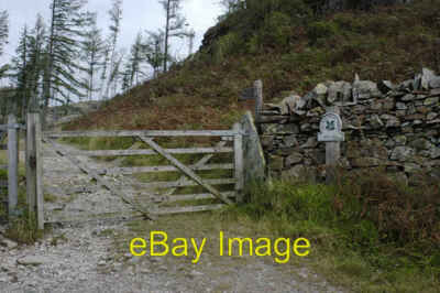 Photo 6x4 Gate and footpath into Iron Keld Plantation Knipe Fold c2008 ...