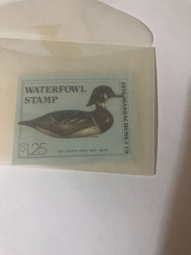 1974 MASSACHUSETTS - State Duck Stamp Print **FIRST OF STATE** with ...