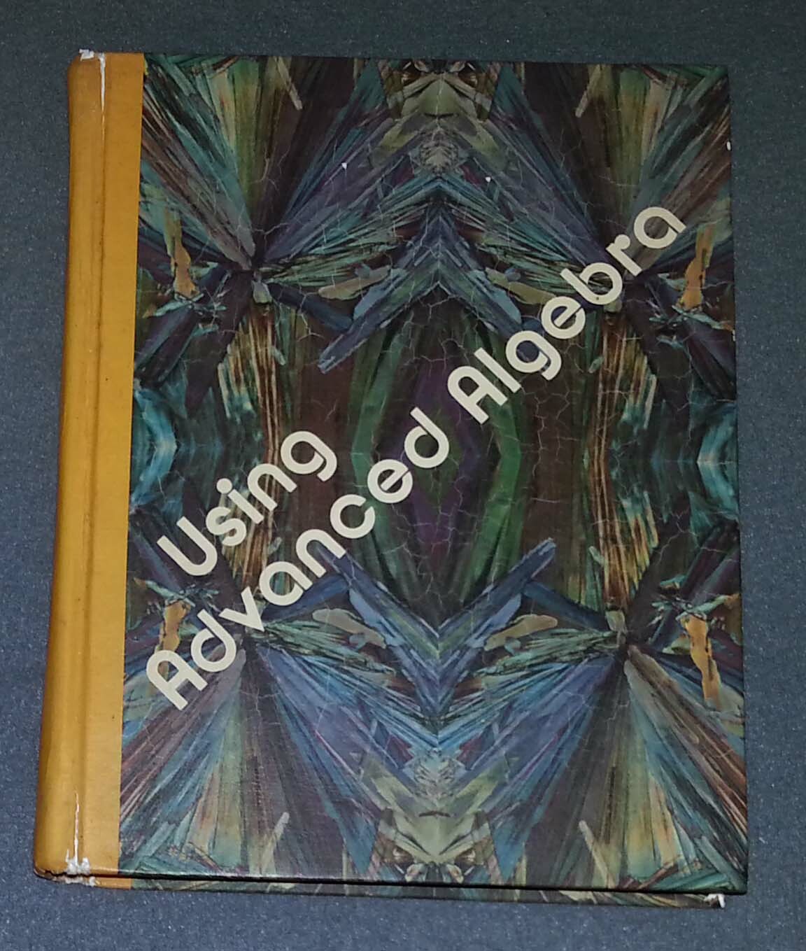 Using Advanced Algebra by Travers, Dalton, Brunner (HC) 1975 Laidlaw ...
